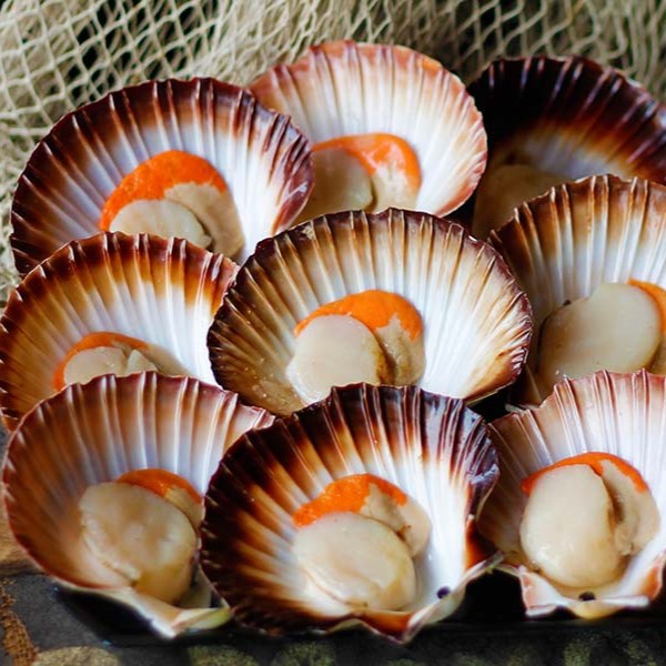 Scallop on Half Shell - Tasmanian Dozen – Pork Ewe Deli